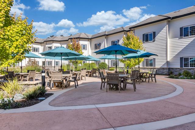 Acc Maple Tree Village