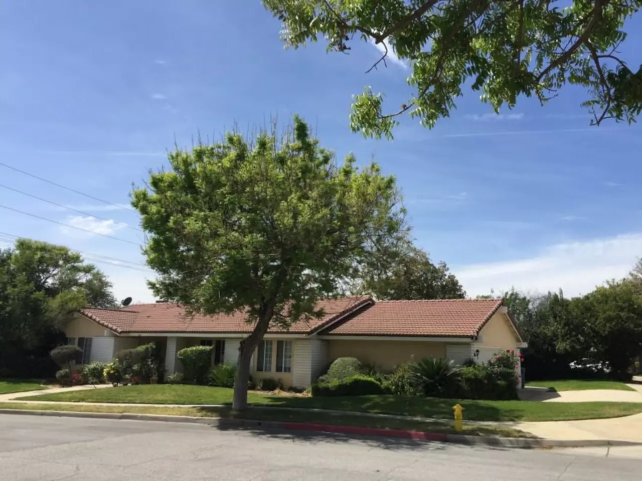 Genesis Manor II | Purple Door | #2235417958