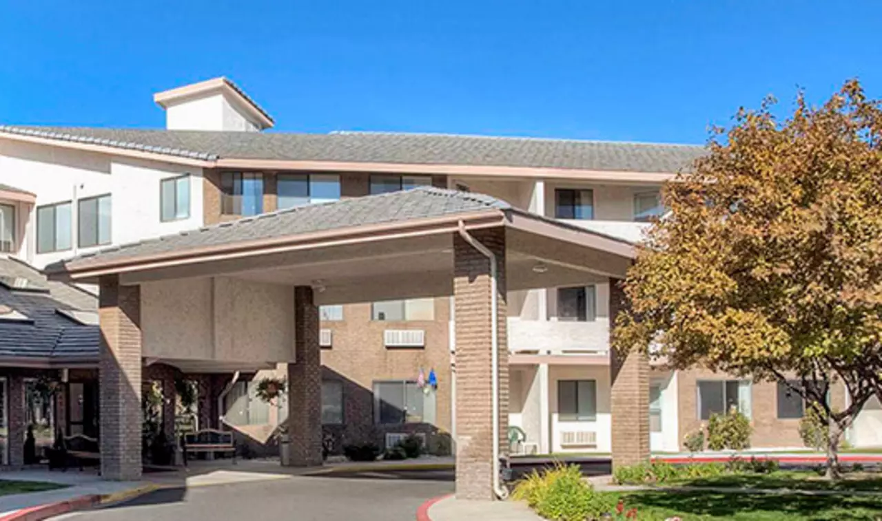 Solista Carson | Purple Door | #2048977455