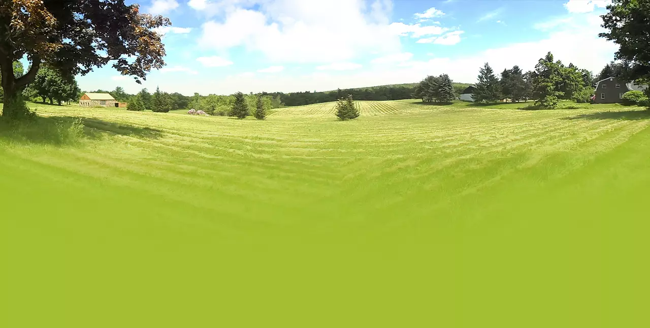 The Hills at Paxton Village | Purple Door | #1652